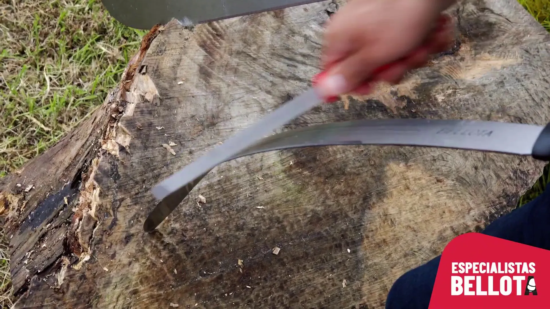 Uso correcto del machete para evitar daños a cultivos, descubre su ...